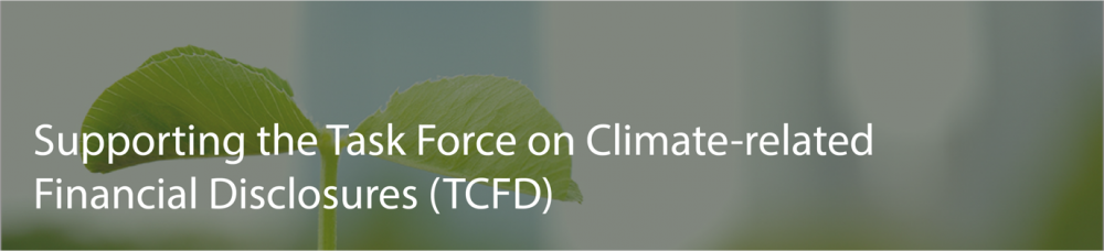 Taking Action on Climate Change | NWD Sustainability